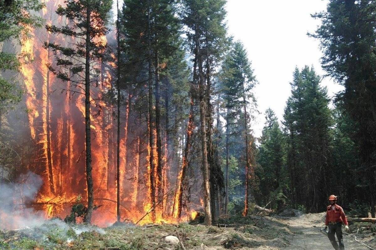 More than 50 illegal fires reported in two days: Coastal Fire Centre ...